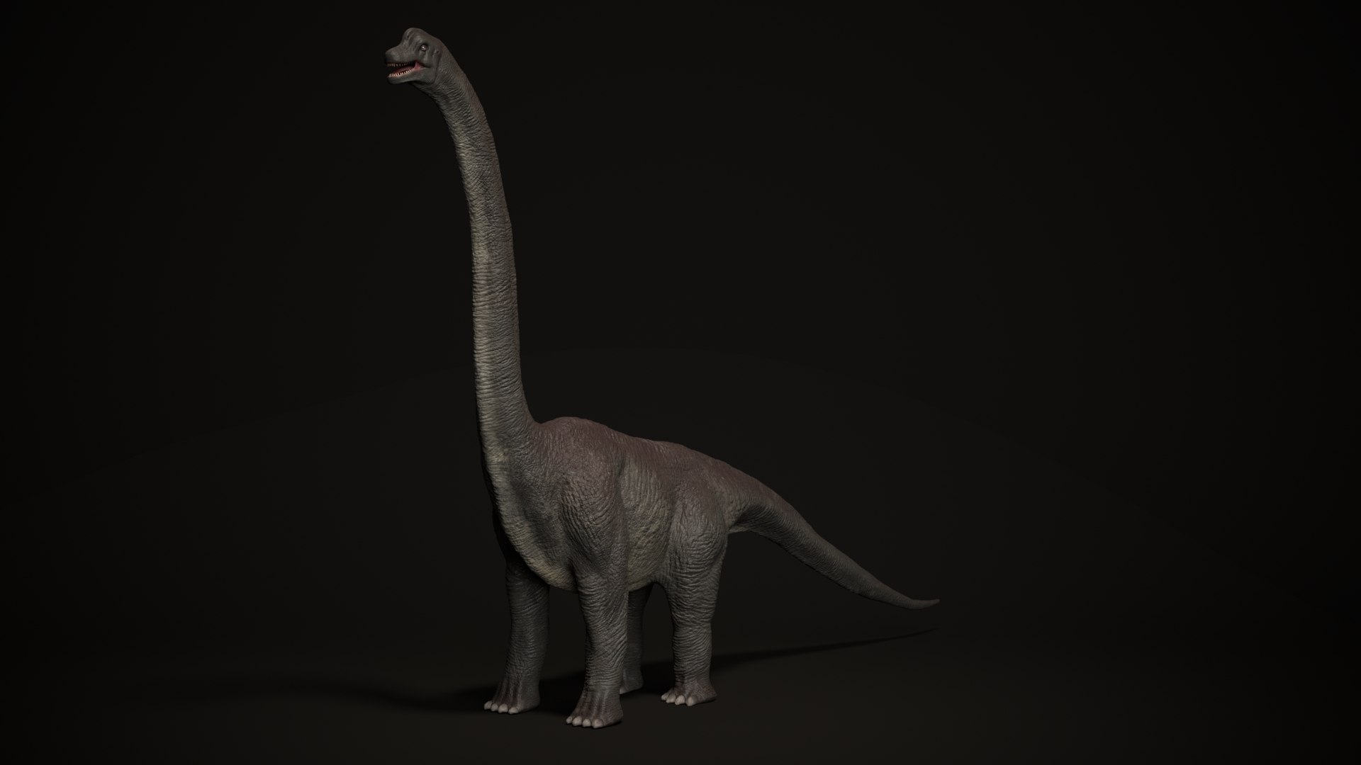 Brachiosaurus Sauropod Dinosaur 3D Model - TurboSquid 2321276