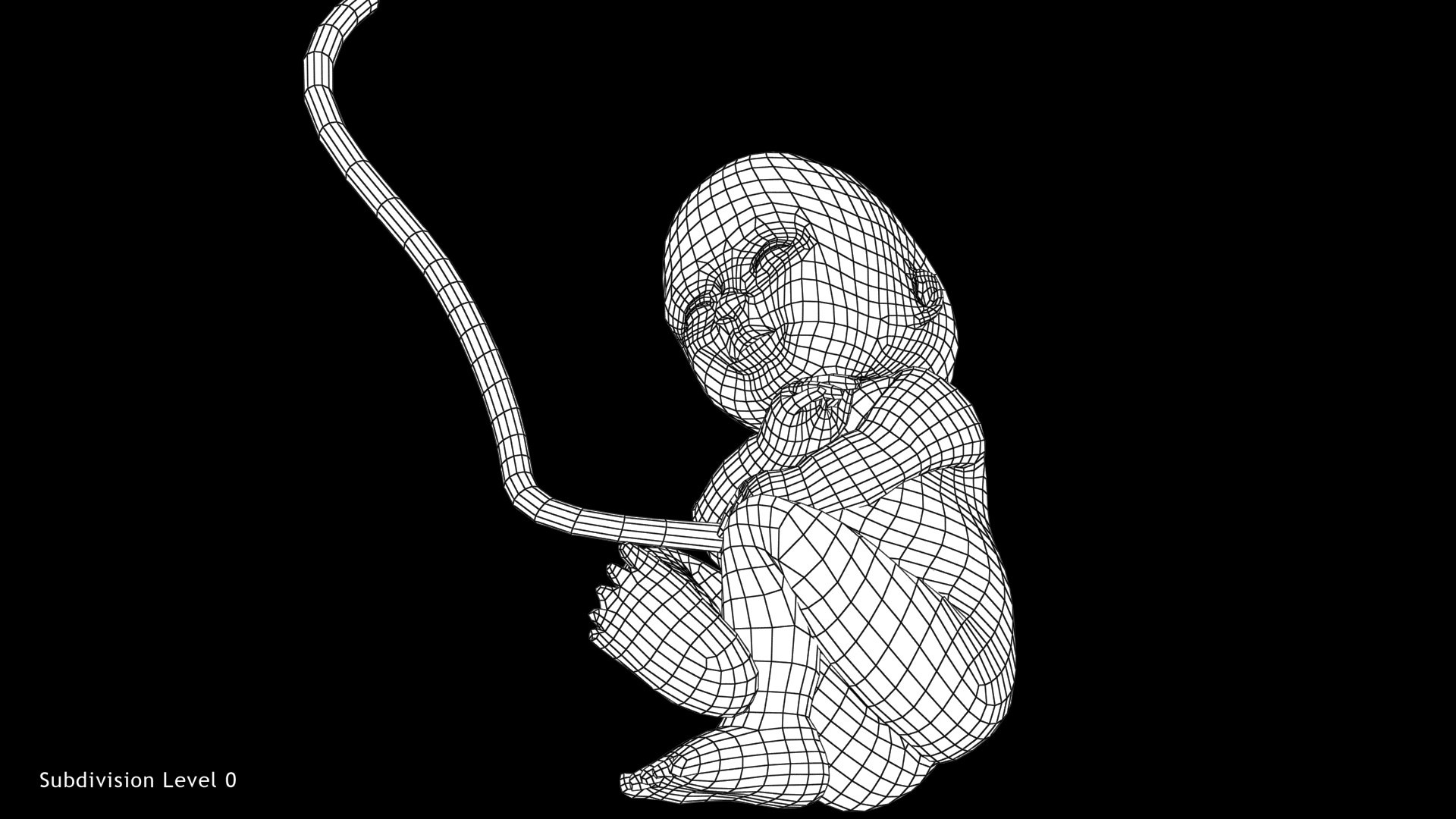 24 Weeks Human Fetus Model - TurboSquid 2036311