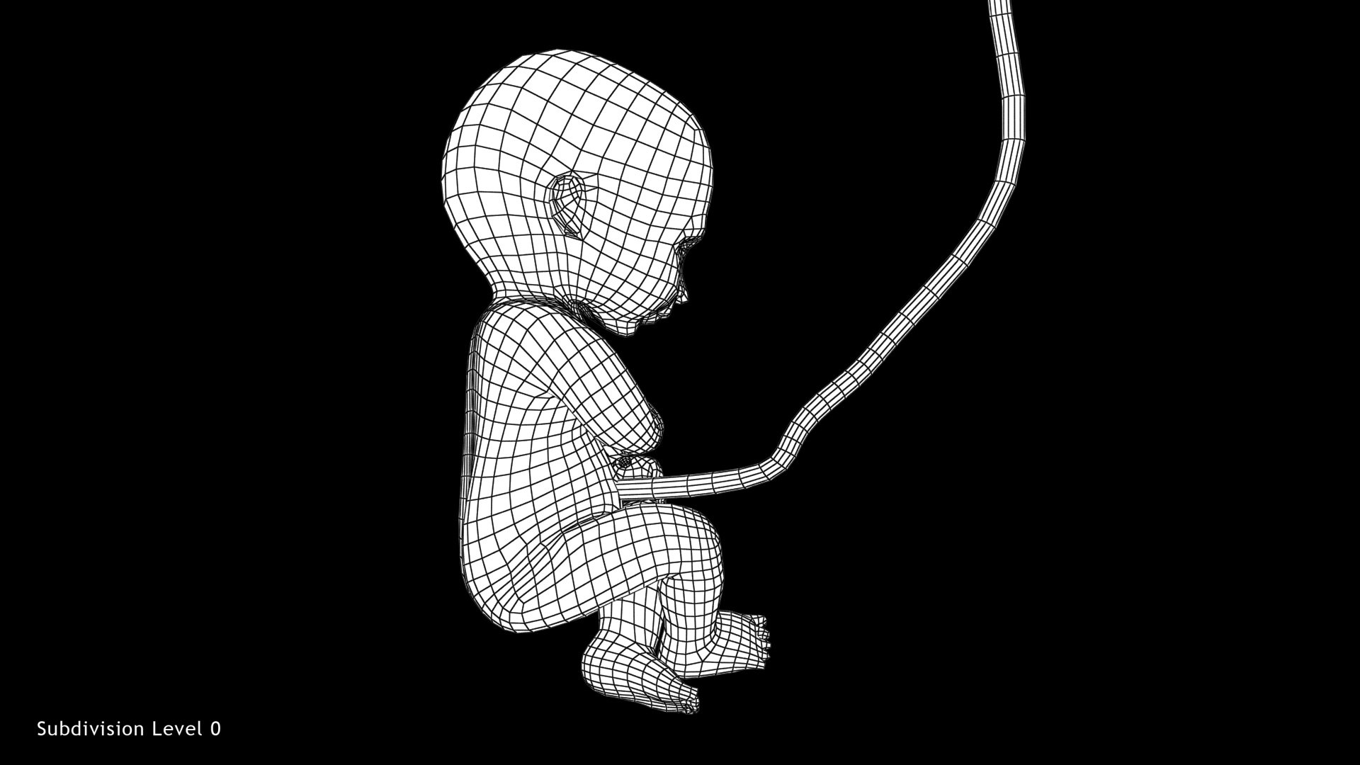 24 Weeks Human Fetus Model - TurboSquid 2036311