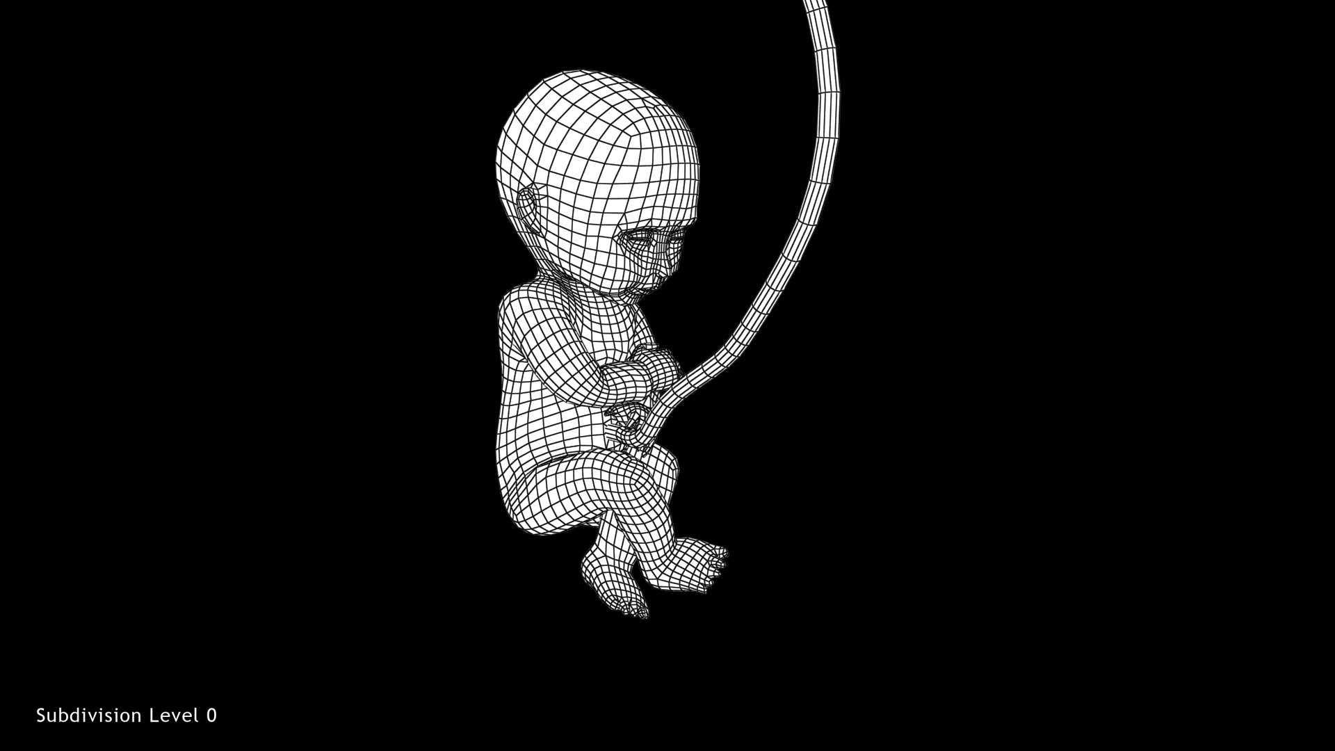 24 Weeks Human Fetus Model - TurboSquid 2036311