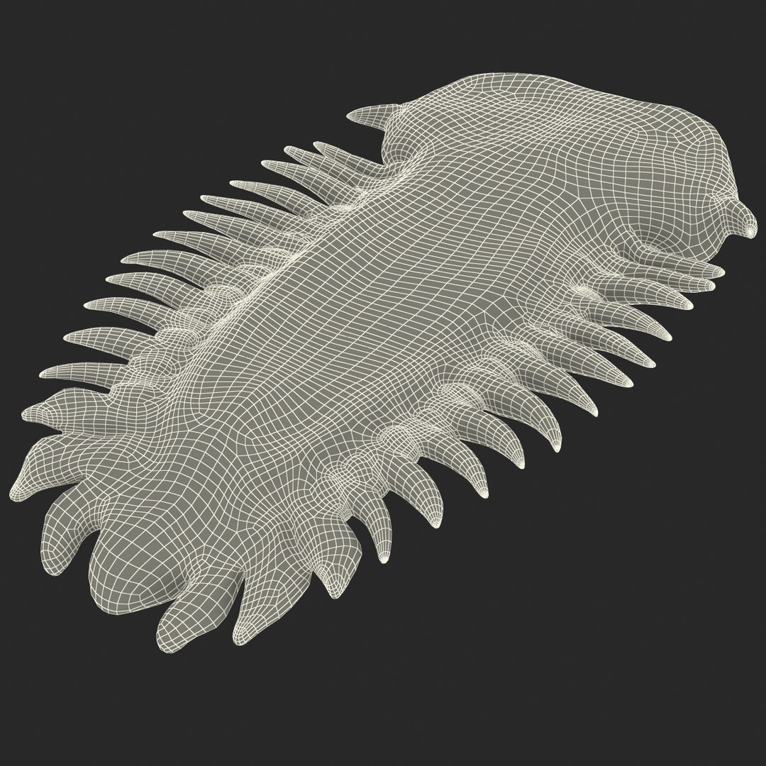 trilobite fossil 2 3ds