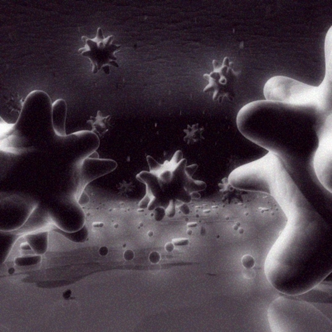 cells microbes microscope 3d max