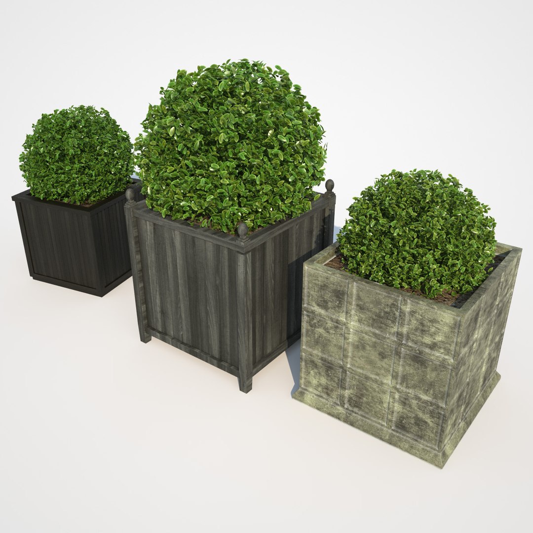 3d Model Bushes Boxes