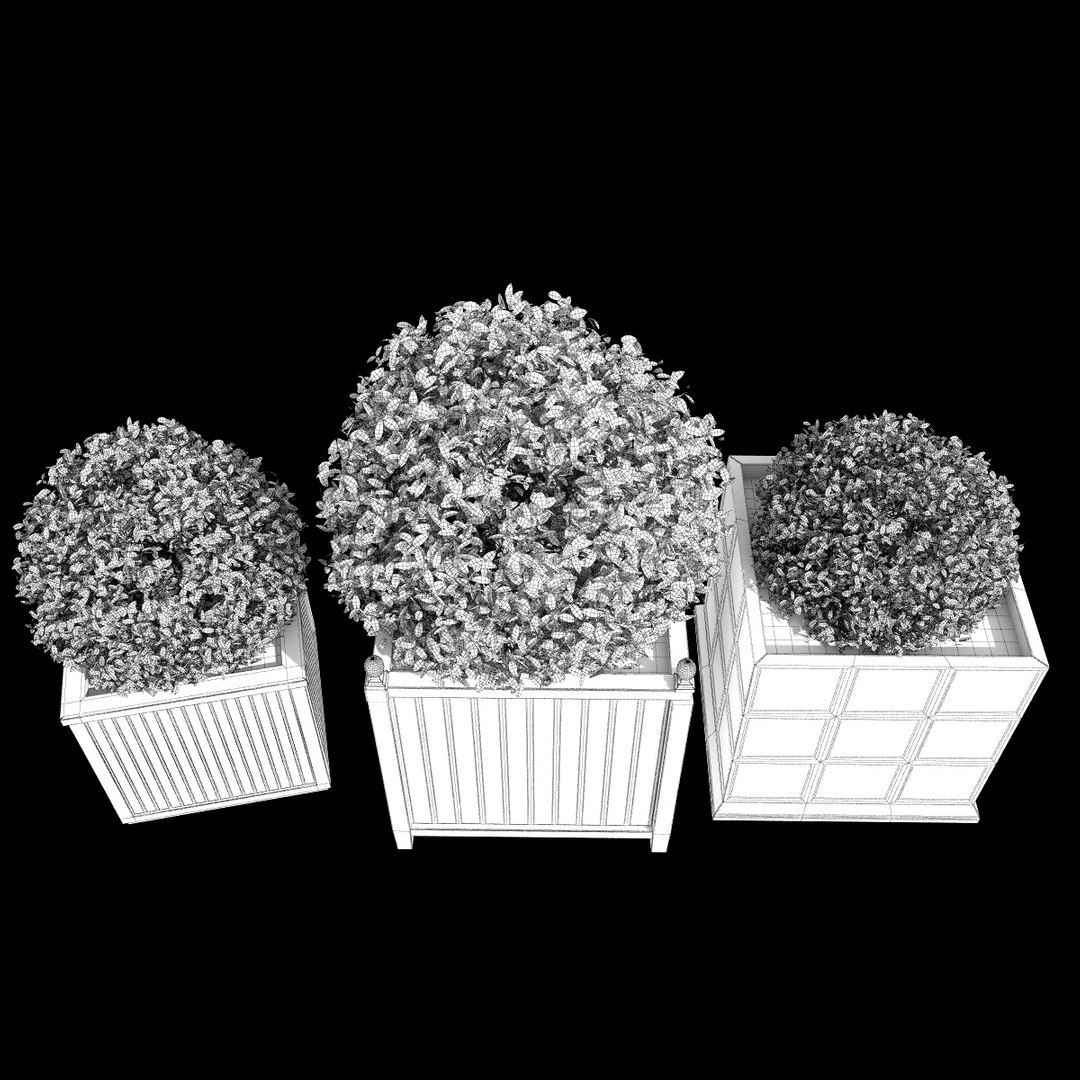 3d Model Bushes Boxes