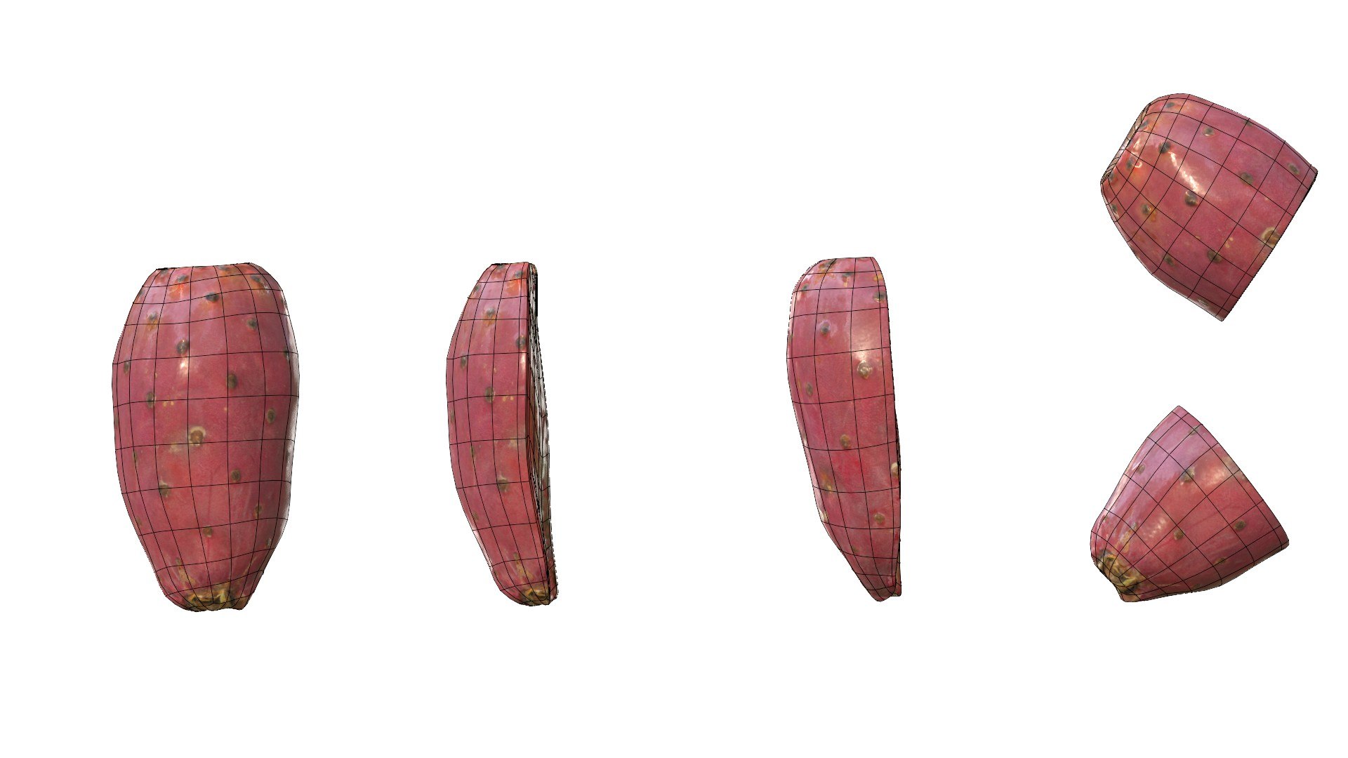 3D Prickly Pear Red model - TurboSquid 2120420