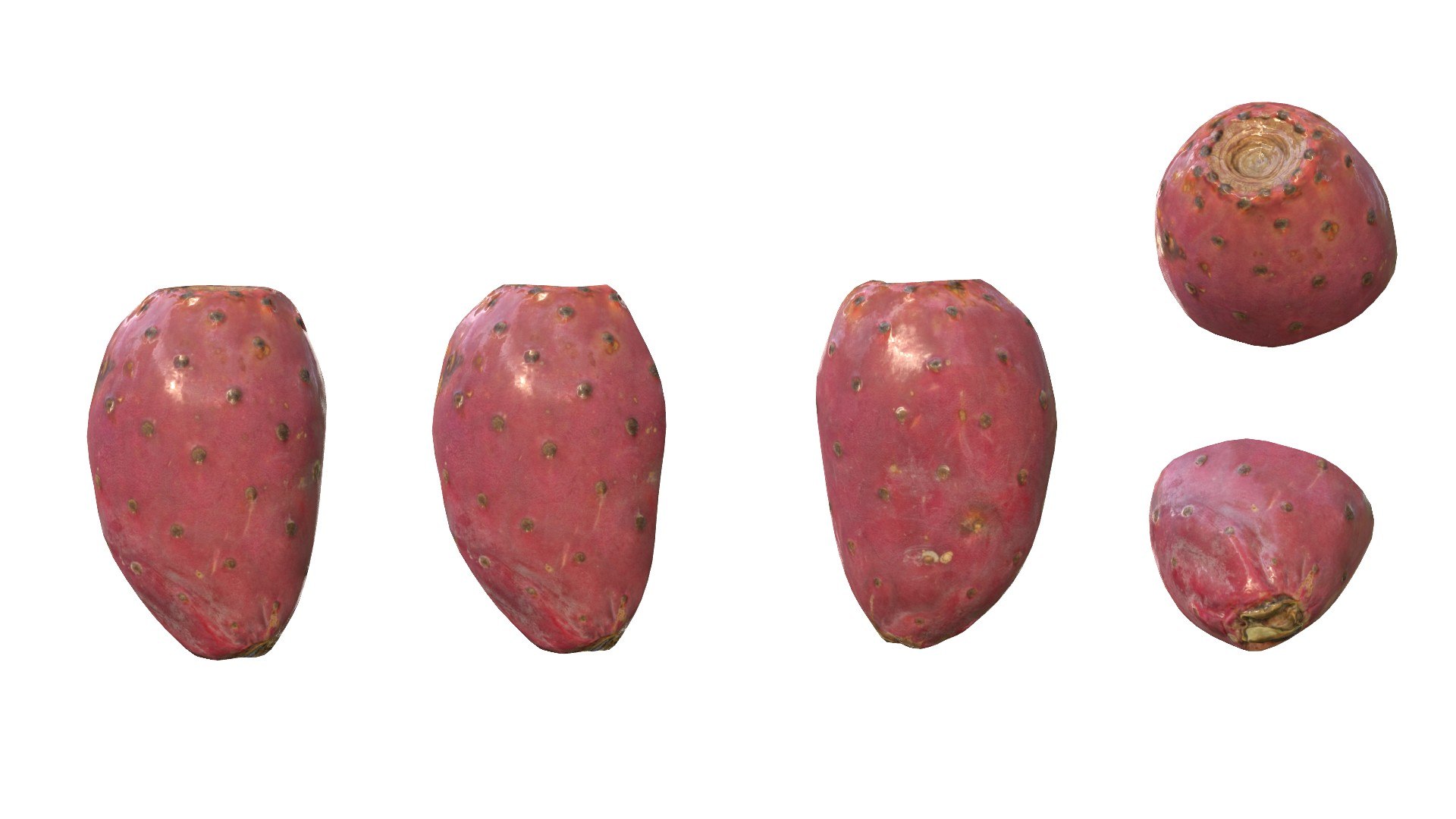 3D Prickly Pear Red model - TurboSquid 2120420