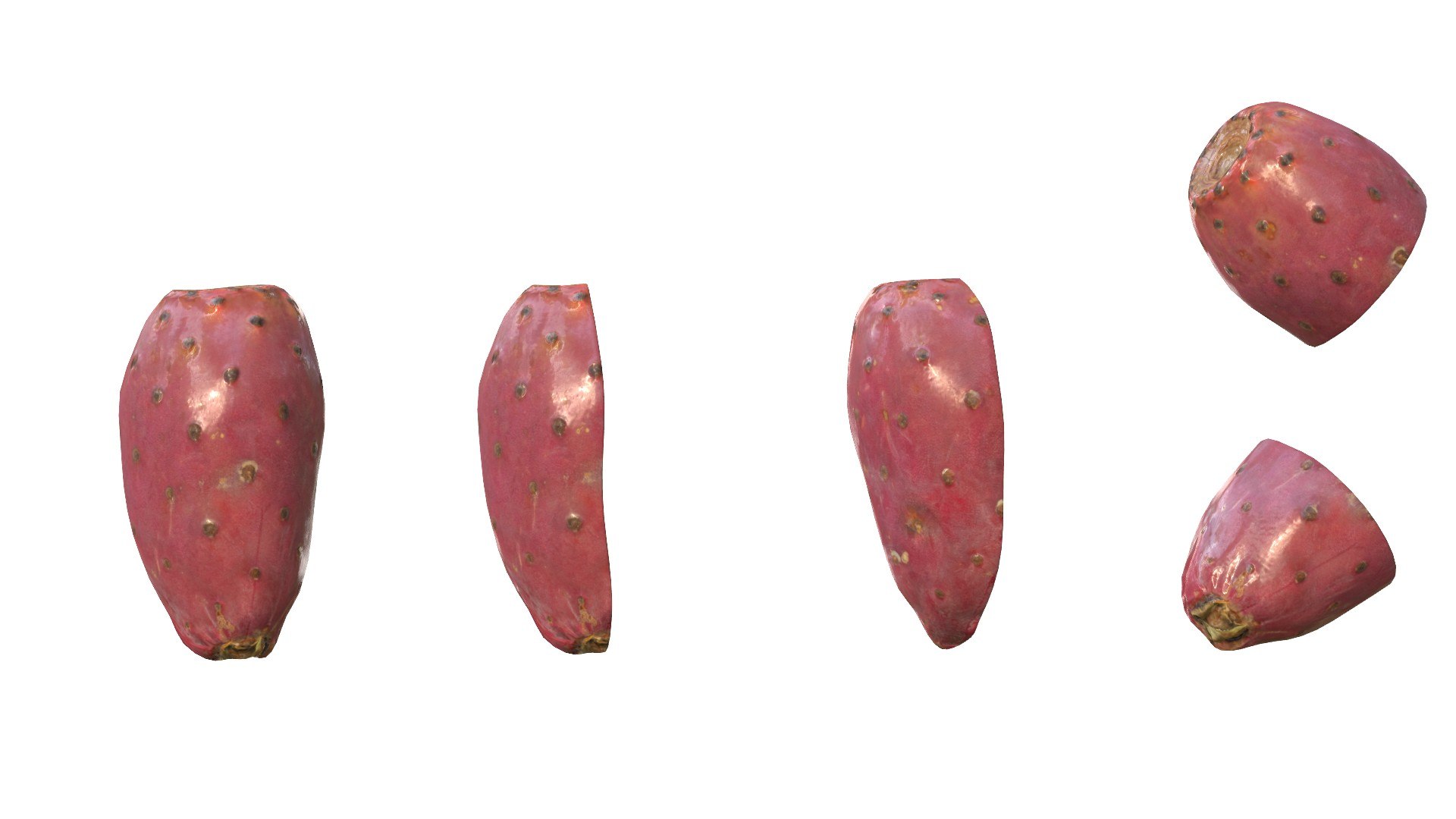 3D Prickly Pear Red Model - TurboSquid 2120420