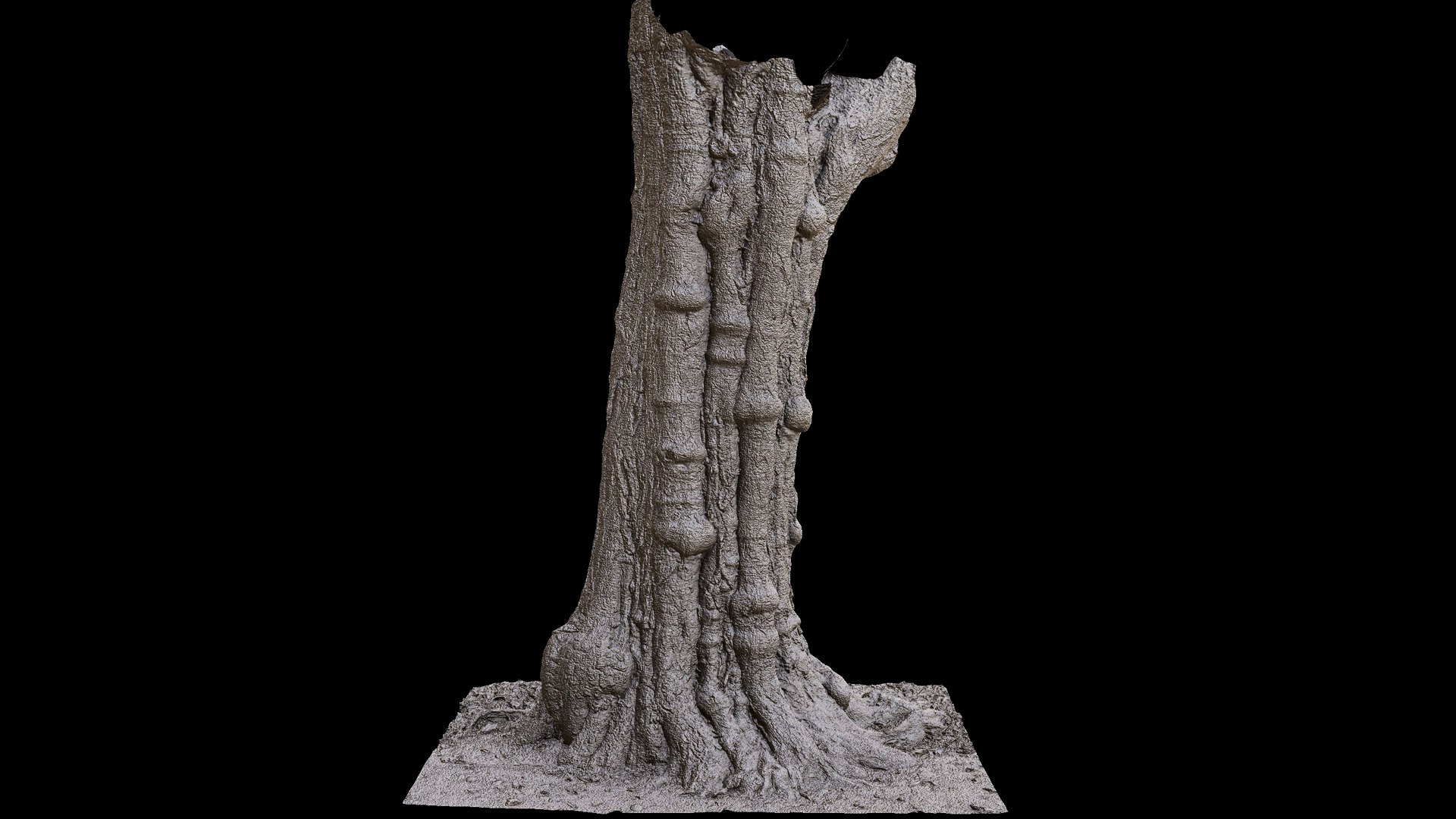 Tree Fantasy Detail Sculpted Trunk Photogrammetry 3D Model - TurboSquid ...