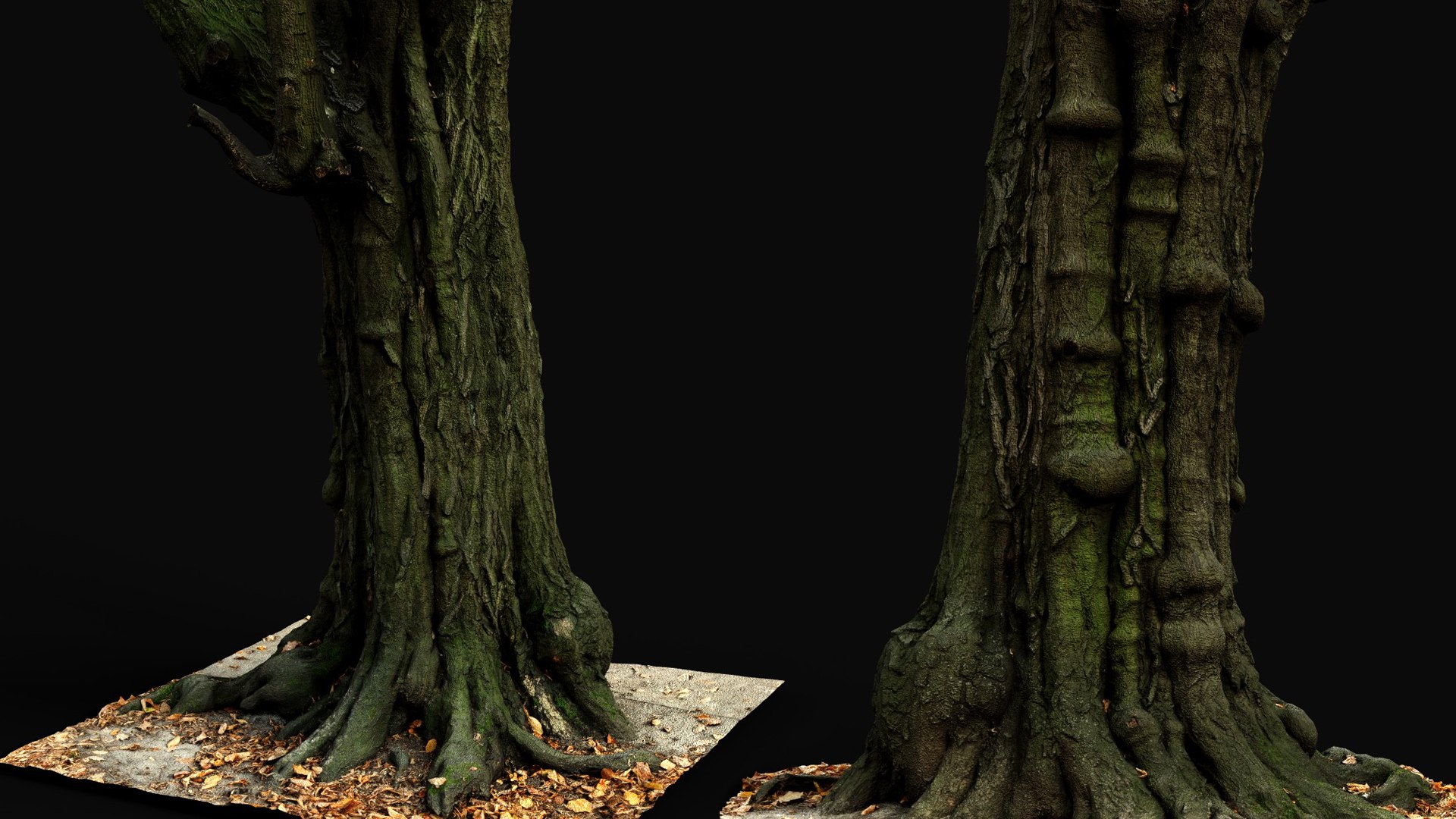 Tree Fantasy Detail Sculpted Trunk Photogrammetry 3D Model - TurboSquid ...