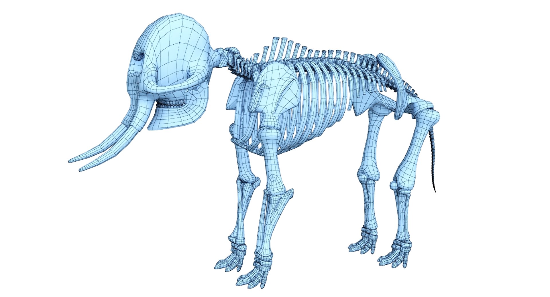 3D model elephant skeleton - TurboSquid 1278714