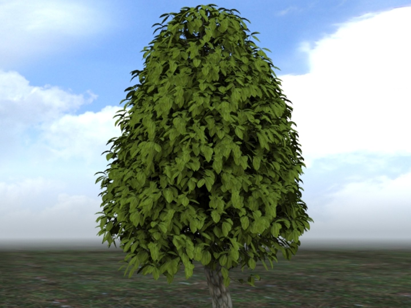 tree 3d max