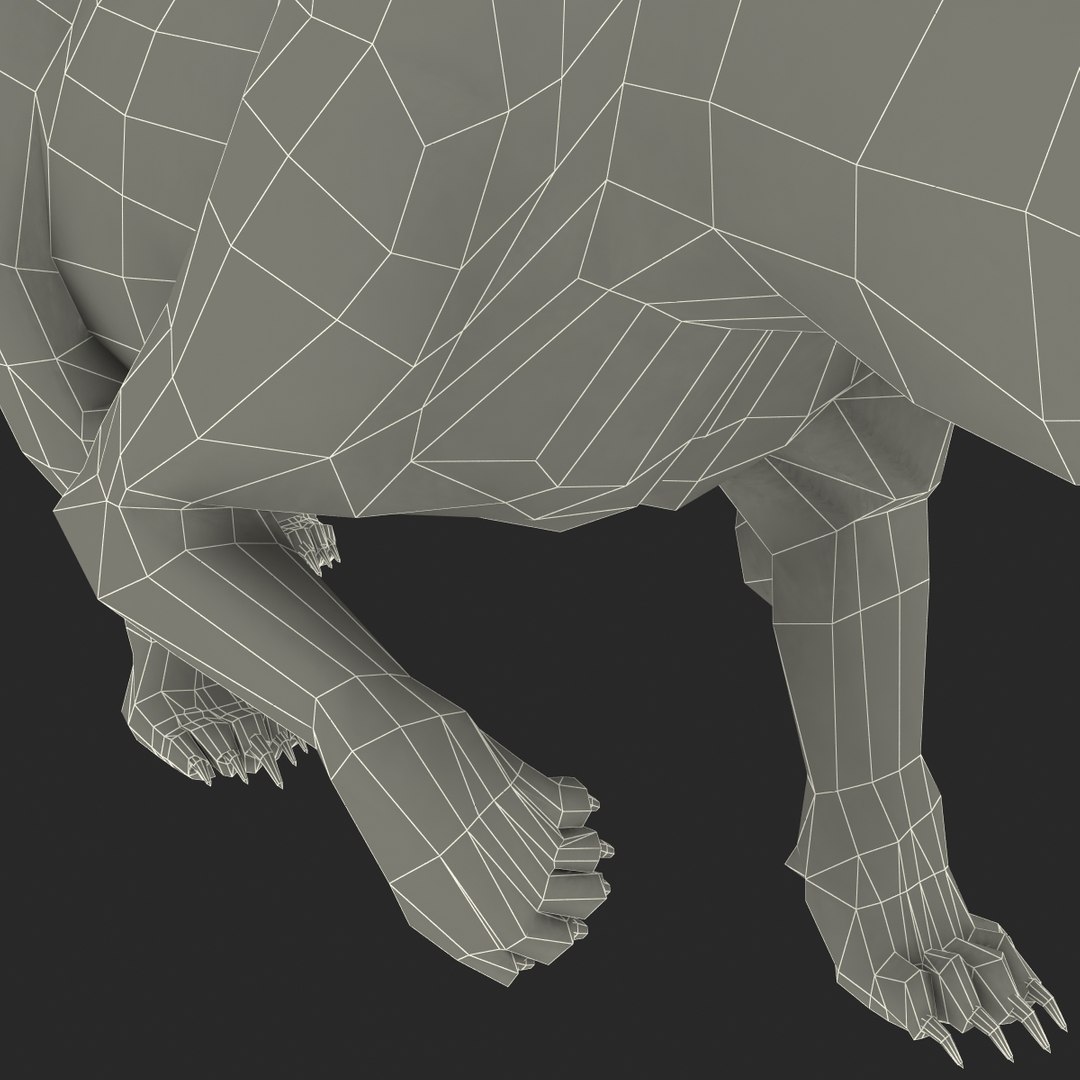 3d Model Of Grizzly Bear Pose 2