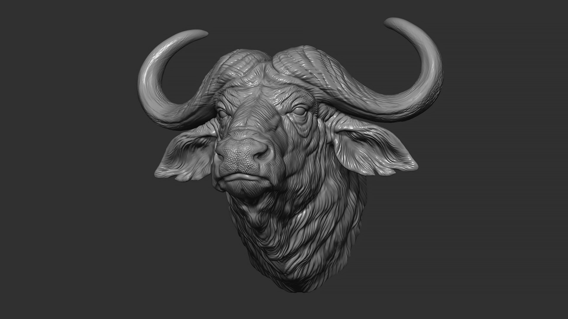 Buffalo shaggy head 3D model - TurboSquid 2041990