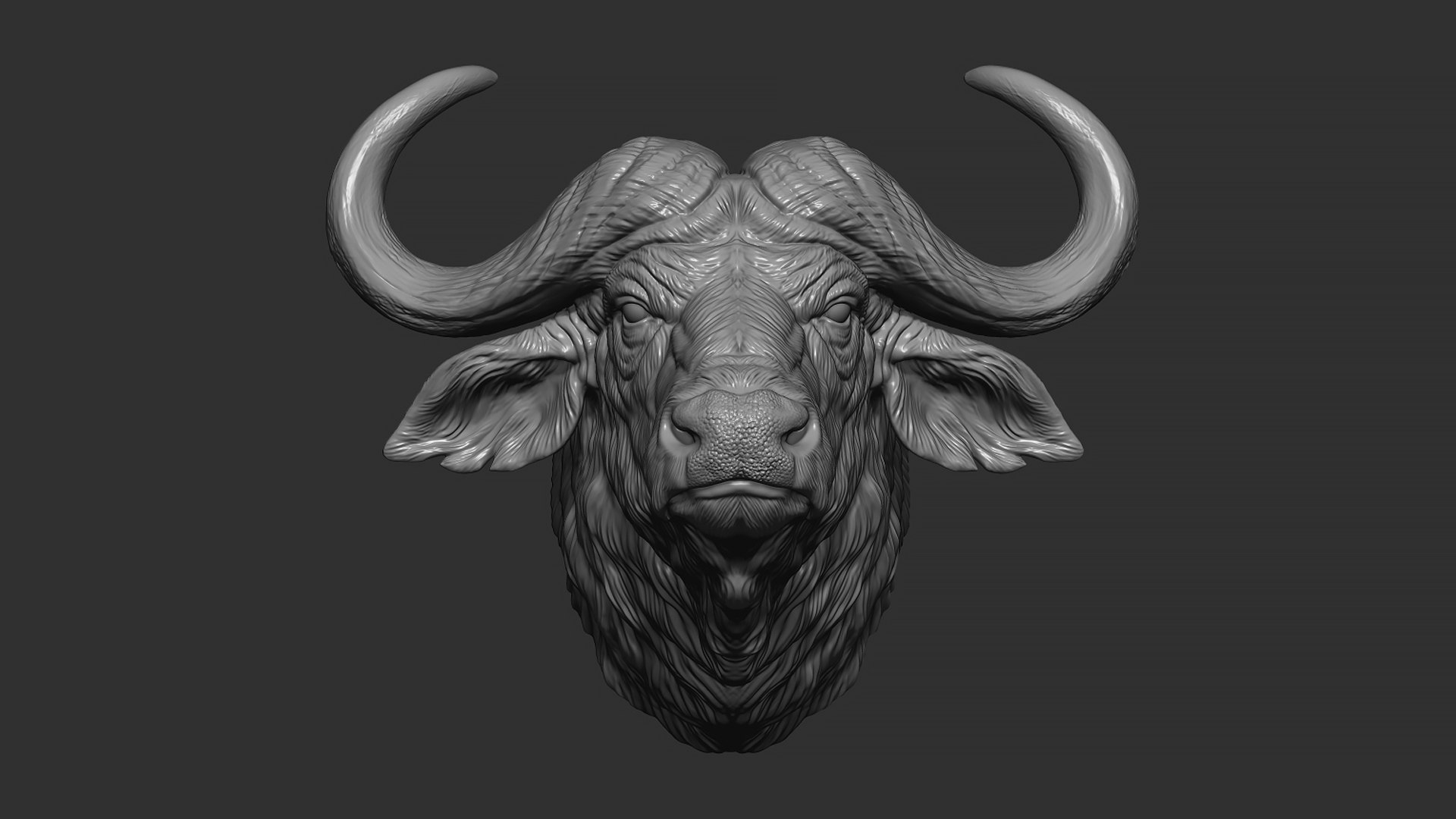 Buffalo shaggy head 3D model - TurboSquid 2041990