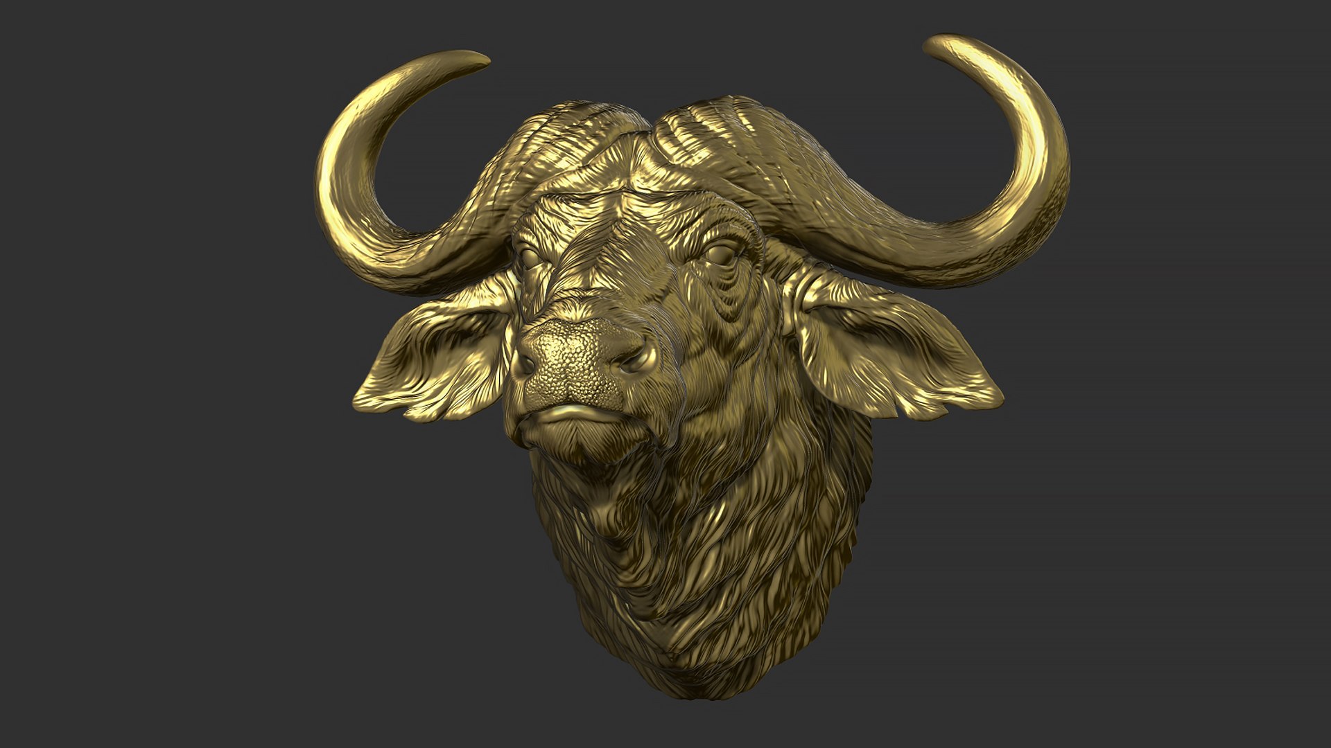 Buffalo shaggy head 3D model - TurboSquid 2041990