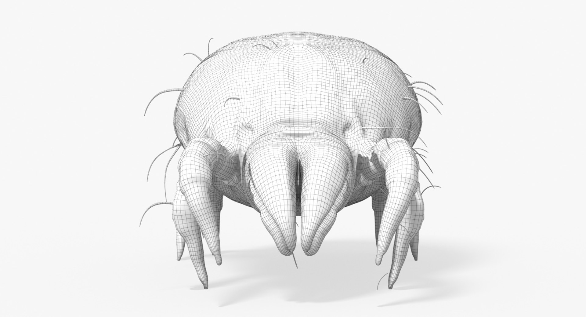 Dust mite 3D model - TurboSquid 1354636