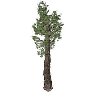 3D Tree Redwood Models - Browse & Download Formats - TurboSquid