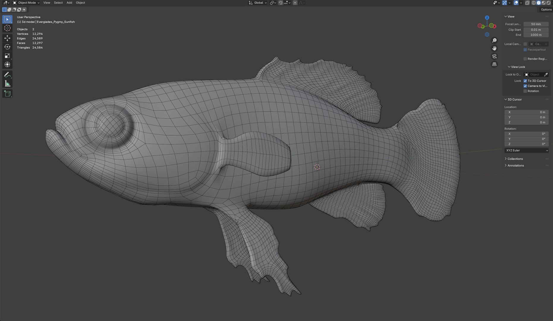 Everglades Pygmy Sunfish 3D Model - TurboSquid 2511884