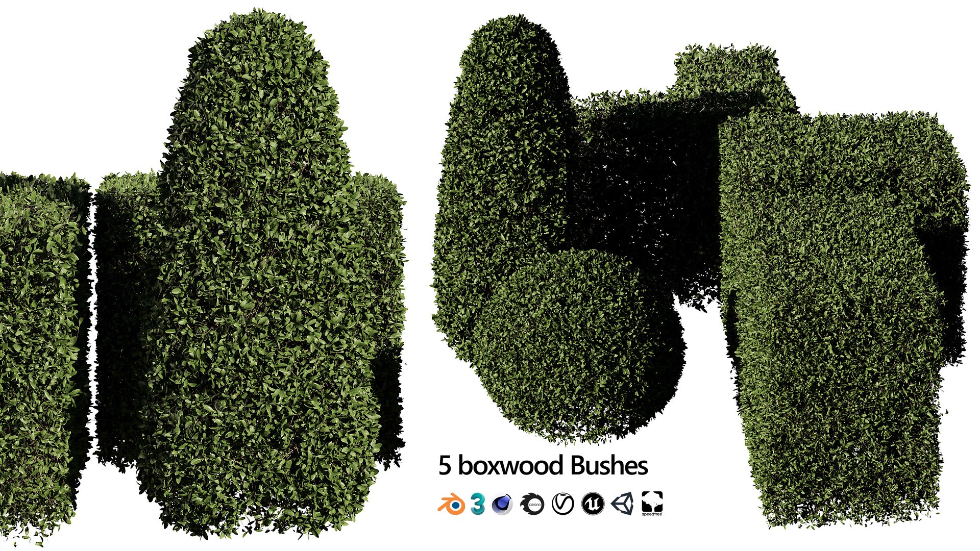 Boxwood Shrubs 3D Model - TurboSquid 2112407