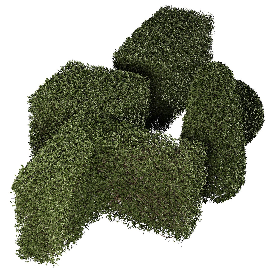 Boxwood Shrubs 3D Model - TurboSquid 2112407