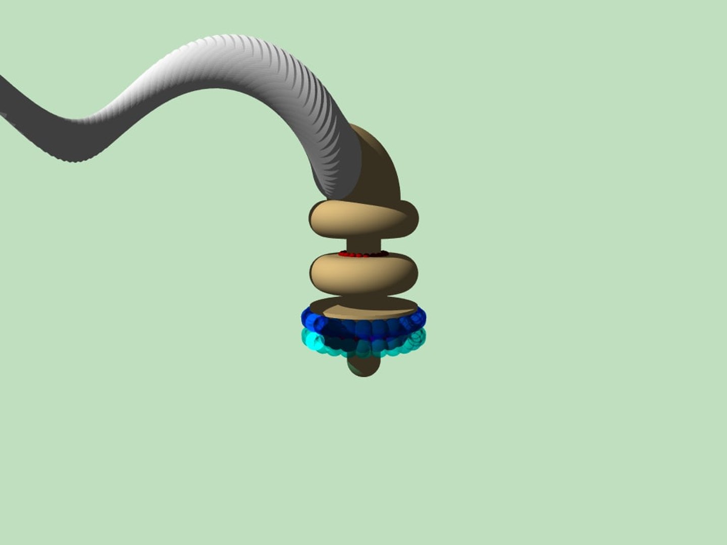 Animation Flagellum 3ds Free