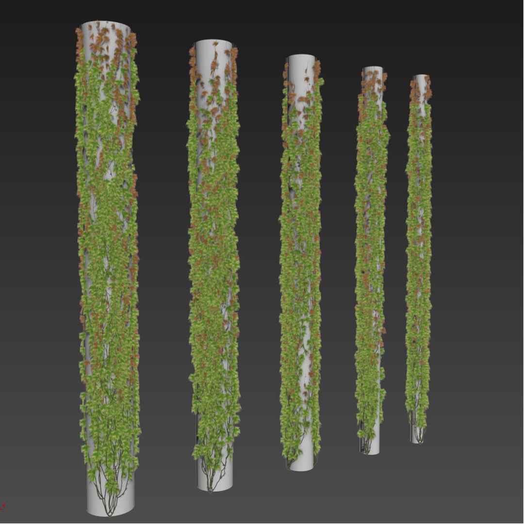 Column With Ivy V2 Model - TurboSquid 1873997