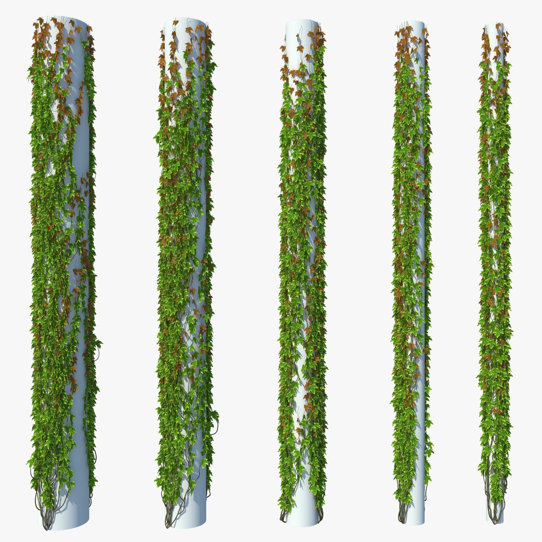 Column With Ivy V2 Model - TurboSquid 1873997