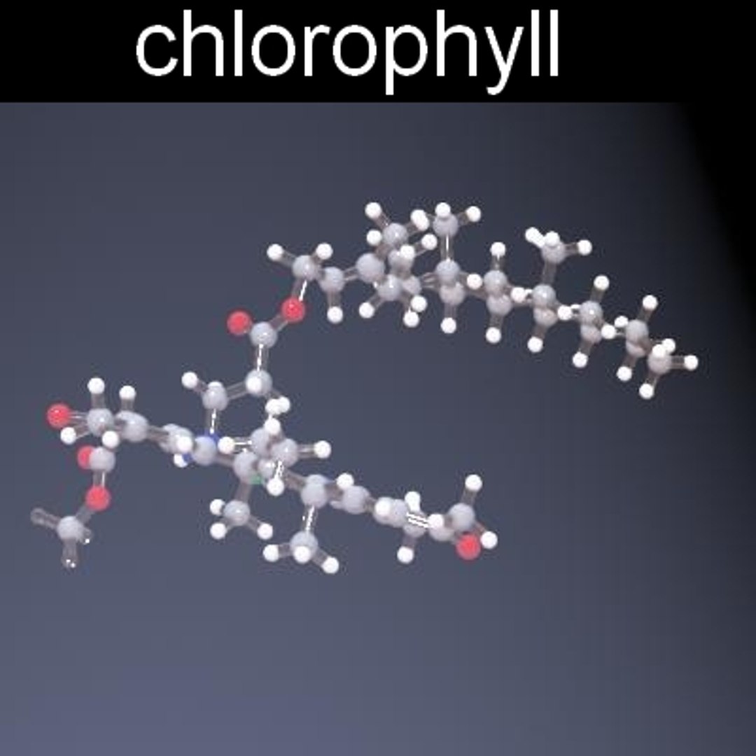 3d Molecule Chlorophyll Model