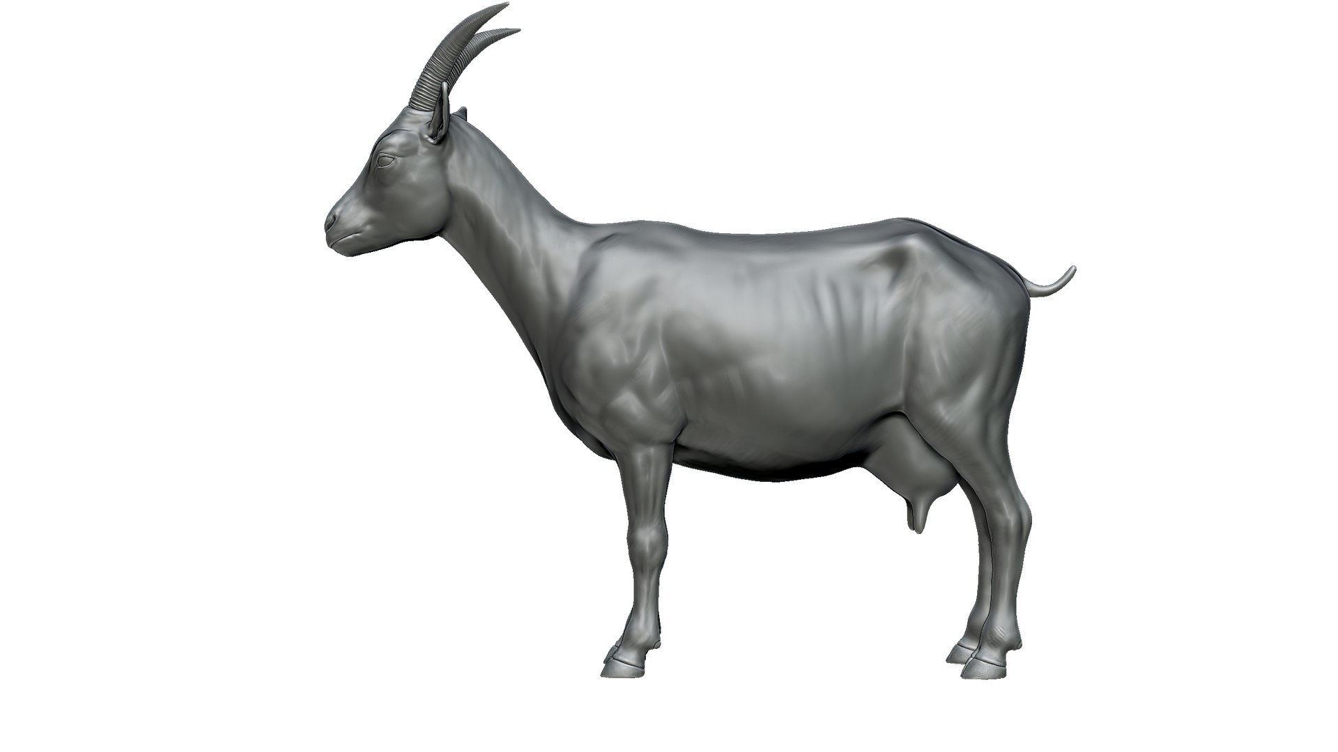 3D Goat Model - TurboSquid 2278519