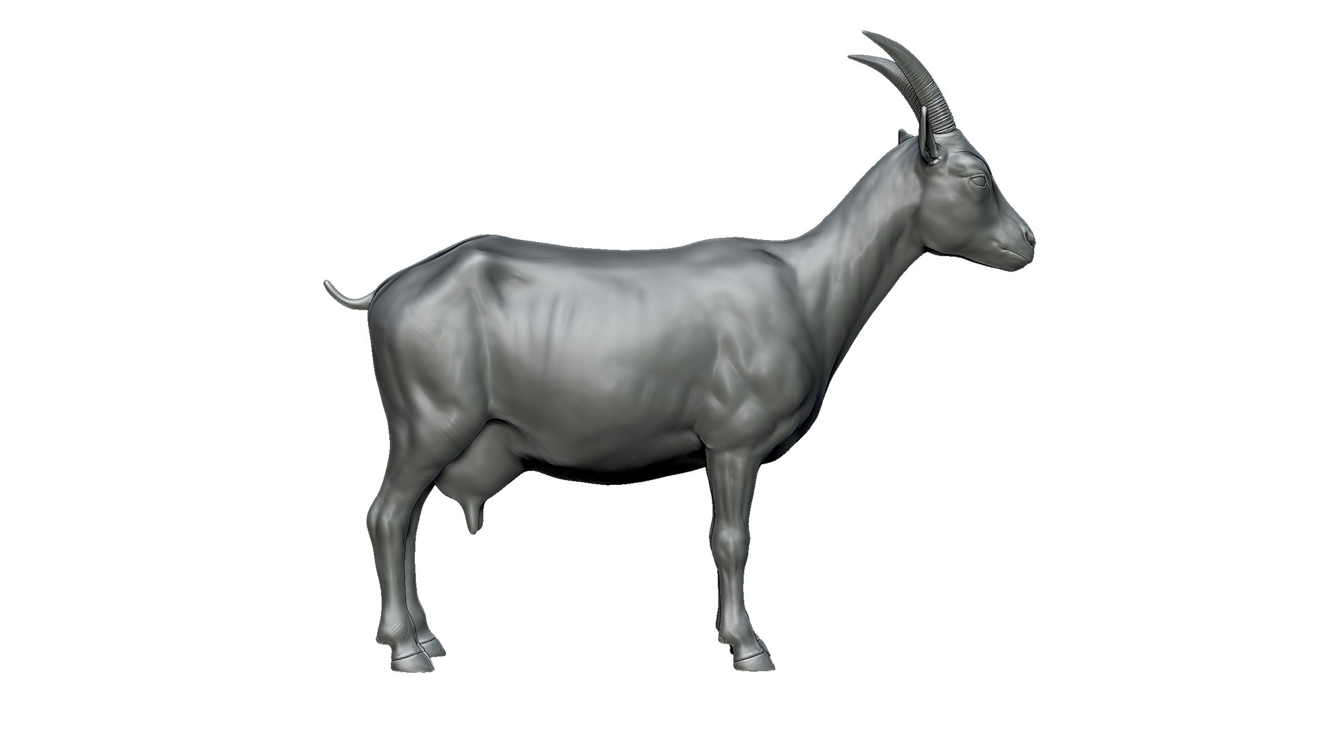 3D Goat Model - TurboSquid 2278519