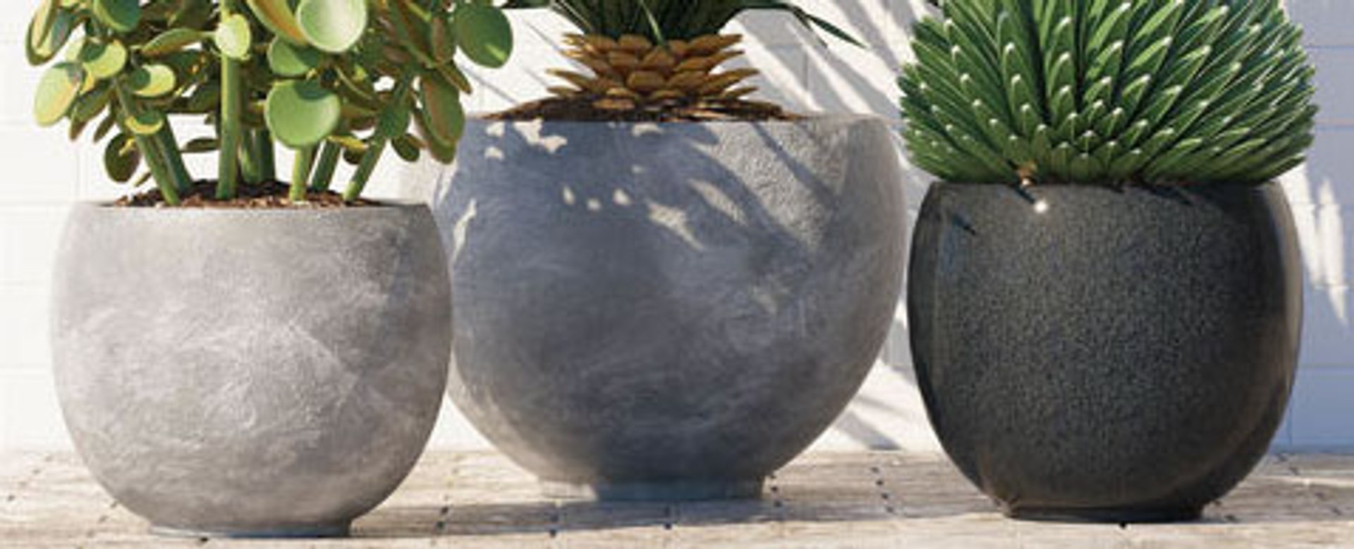 Plant 167 Model - TurboSquid 1393095