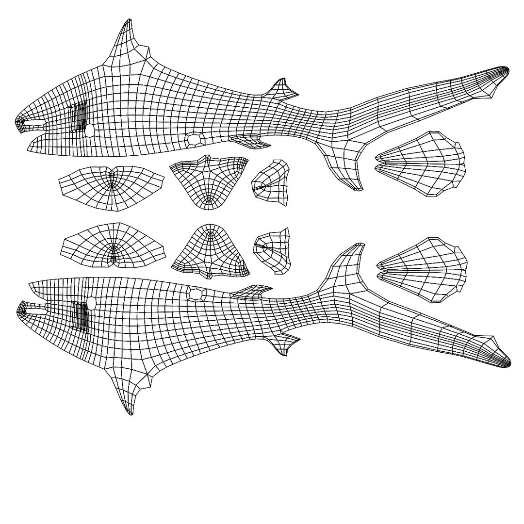 3d model base mesh hammerhead shark