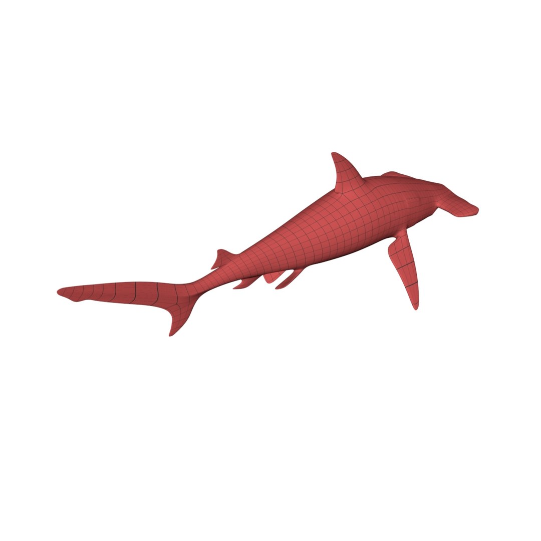 3d model base mesh hammerhead shark