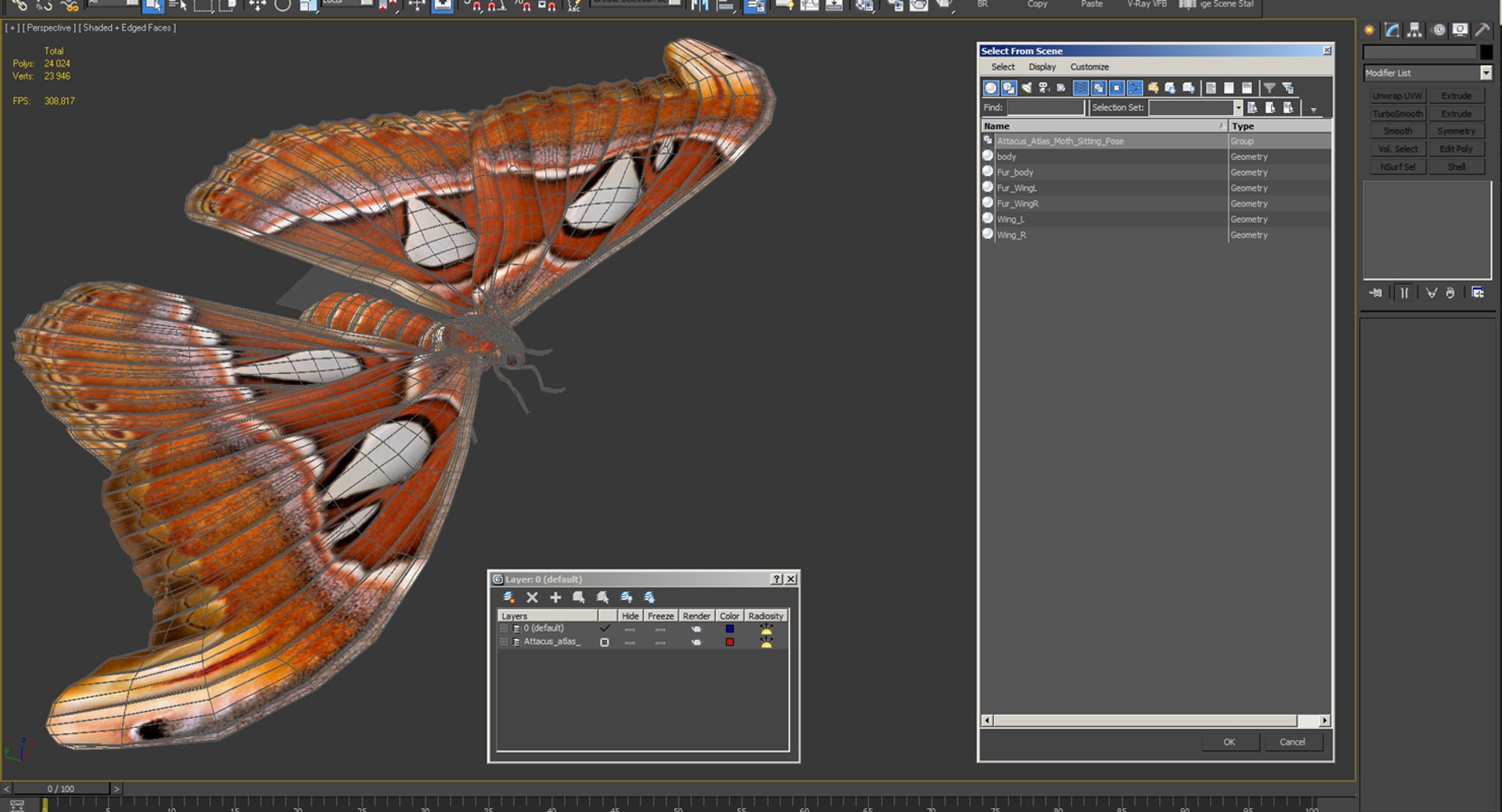 3D Model Attacus Atlas Moth Sitting - TurboSquid 1192519