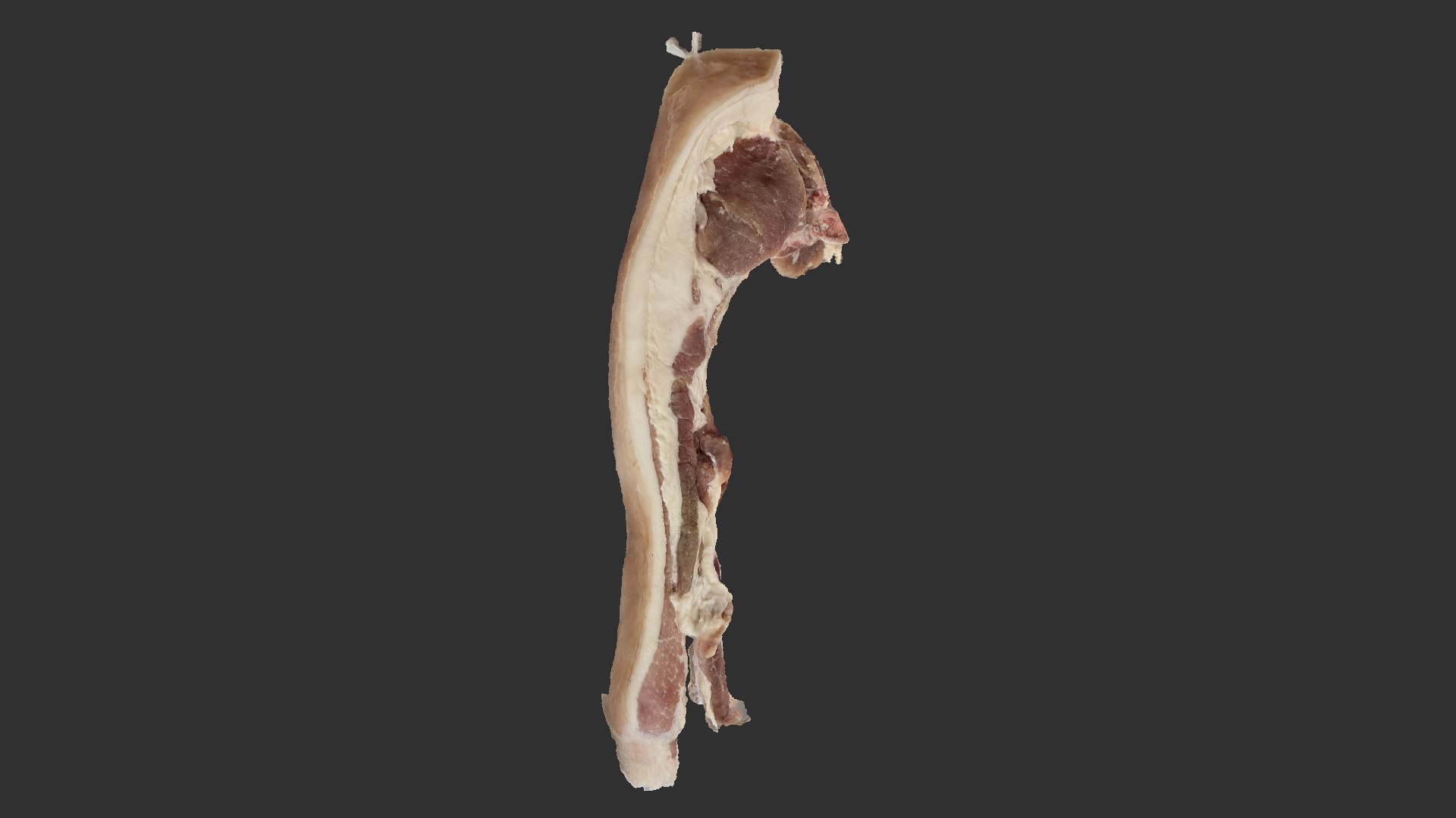 3D Hanging Pork 3d Scan - TurboSquid 2001051