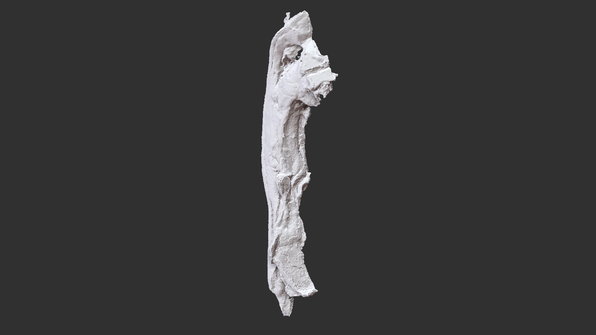 3D Hanging Pork 3d Scan - TurboSquid 2001051