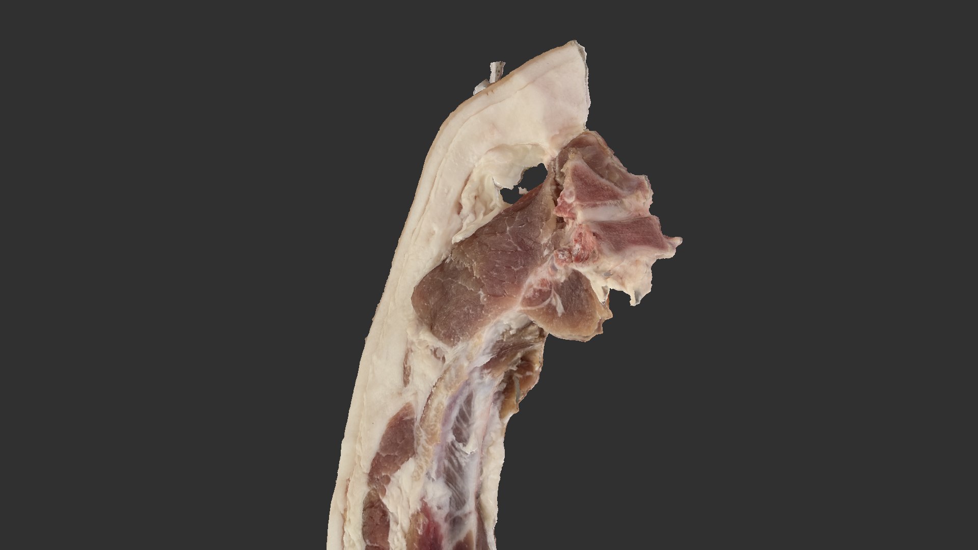 3D Hanging Pork 3d Scan - TurboSquid 2001051