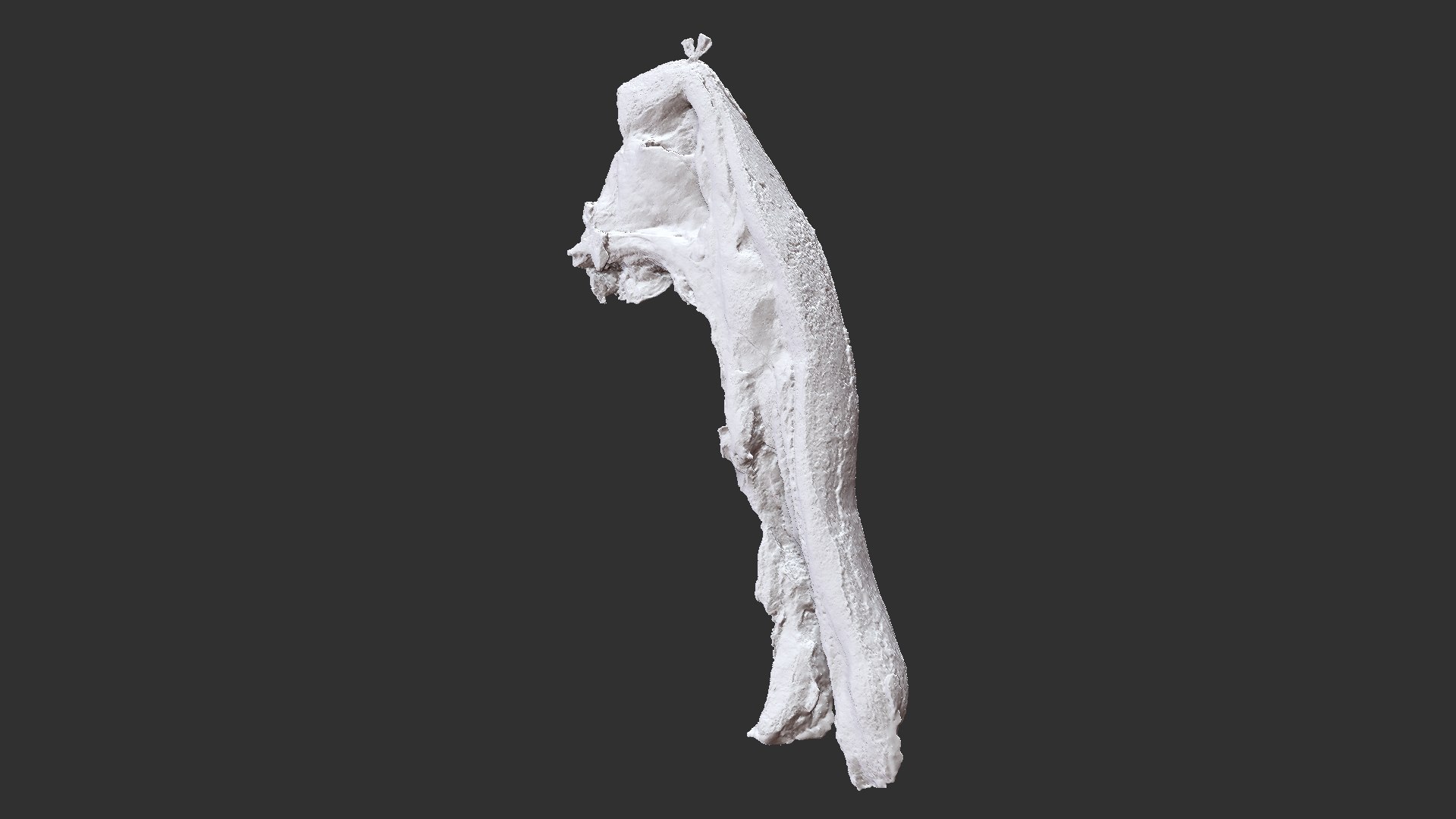 3D Hanging Pork 3d Scan - TurboSquid 2001051