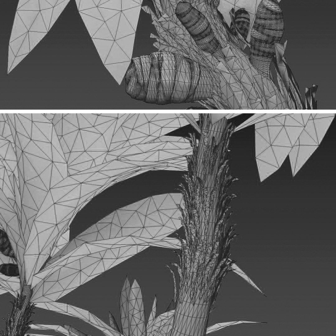 3D Model Set Of Ficus Pseudopalma Or Philippine Fig Tree - TurboSquid ...