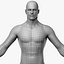 Realistic Low Poly Man Body Basemesh Model - TurboSquid 2014792