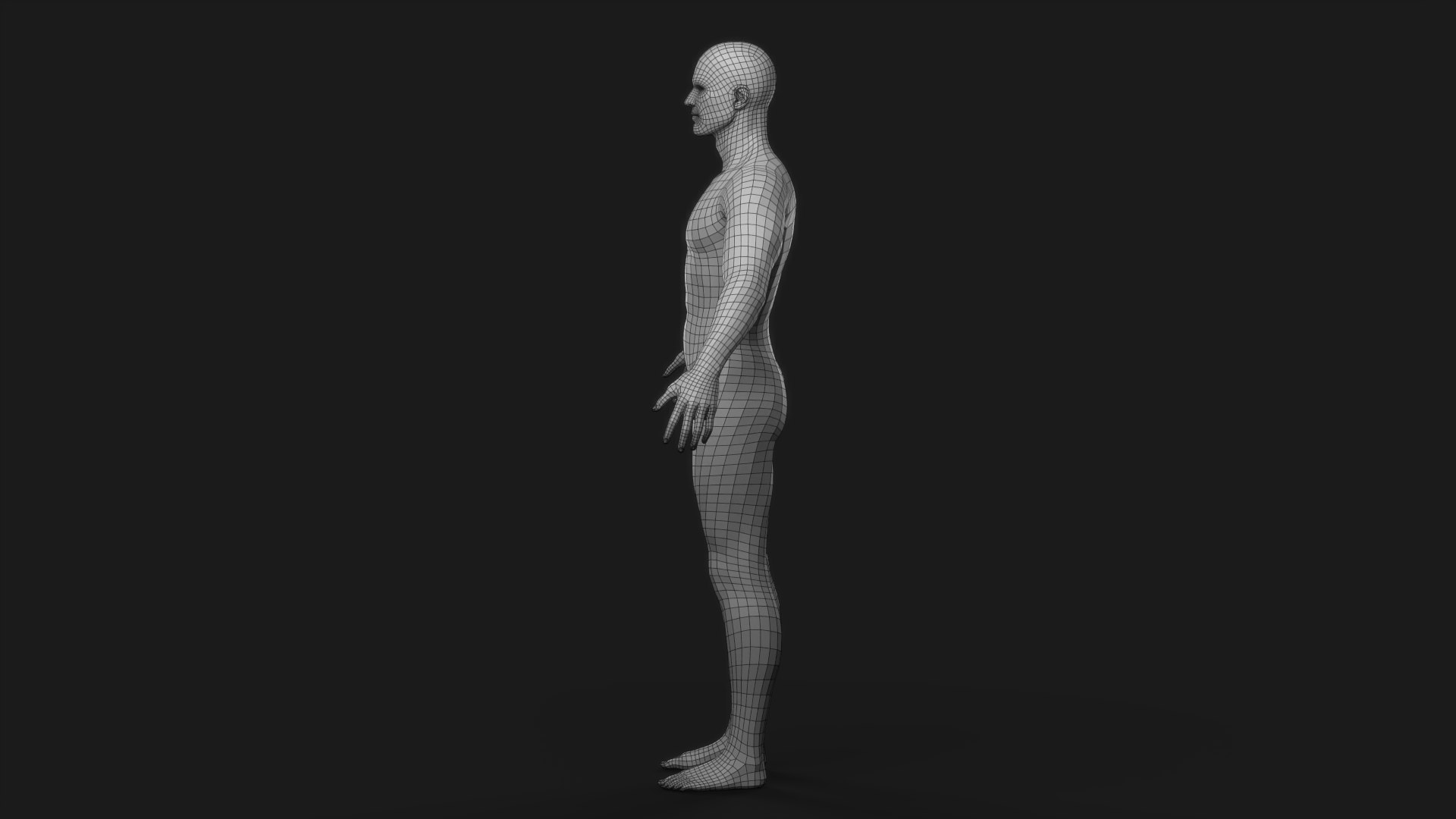 Realistic Low Poly Man Body Basemesh model - TurboSquid 2014792