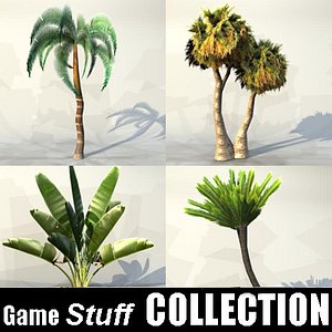 Palm Tree 3D Models for Download | TurboSquid