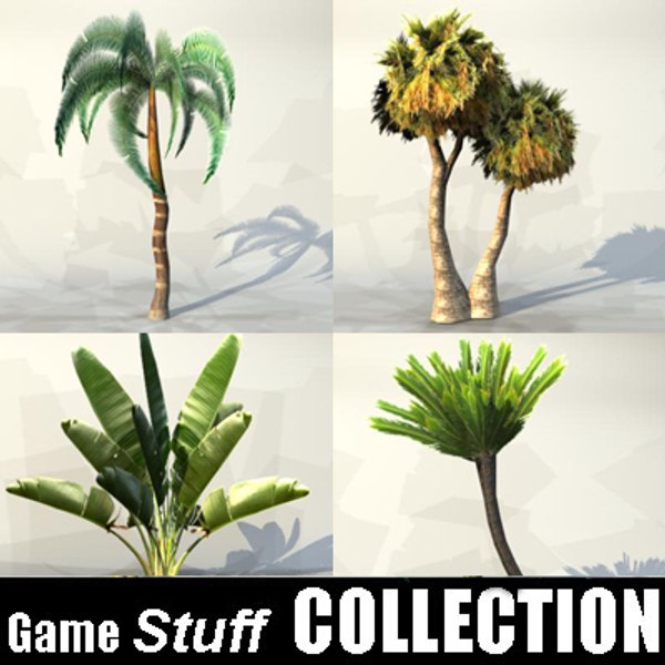 Palm Tree 3D Models for Download | TurboSquid