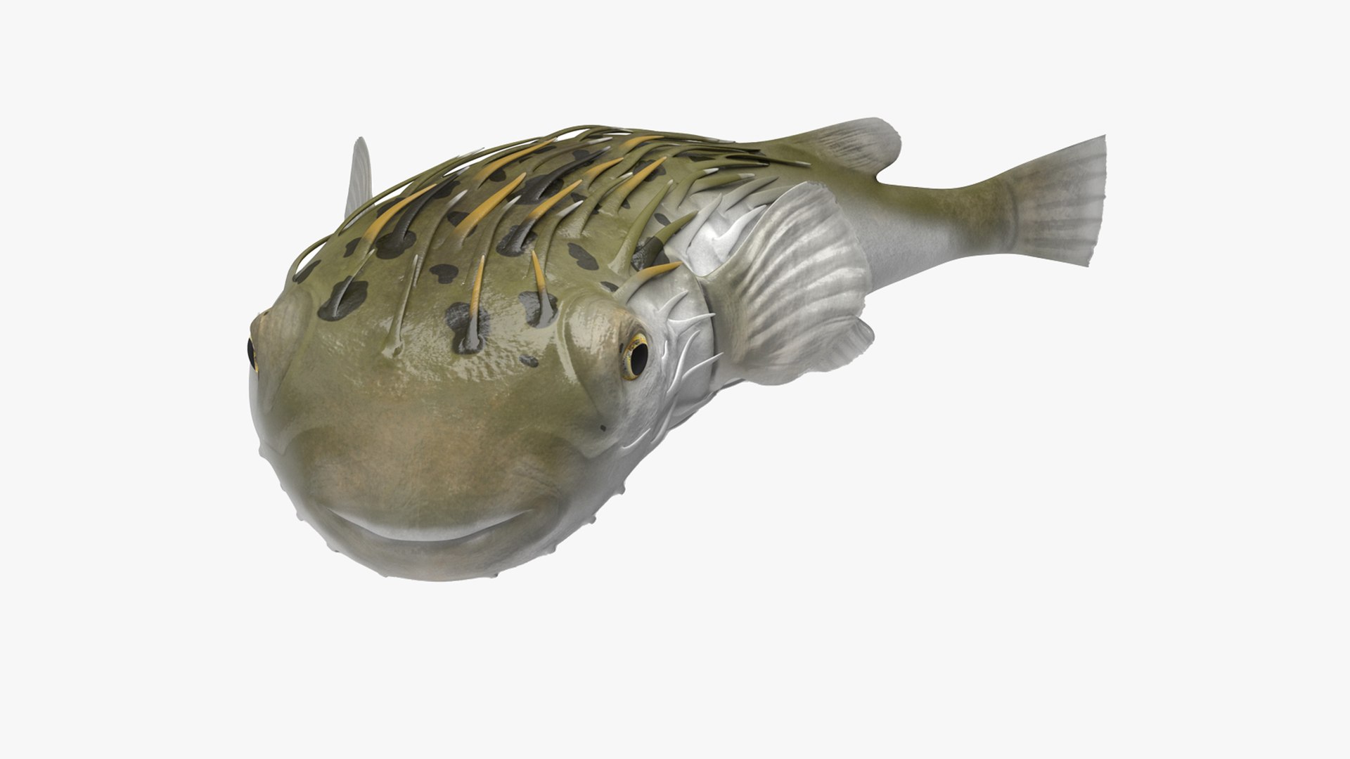 3D Puffer Fish Rigged For Maya Model - TurboSquid 2191748