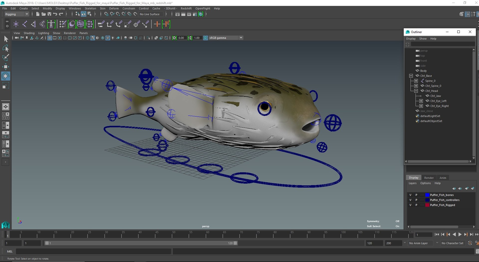 3D Puffer Fish Rigged For Maya Model - TurboSquid 2191748