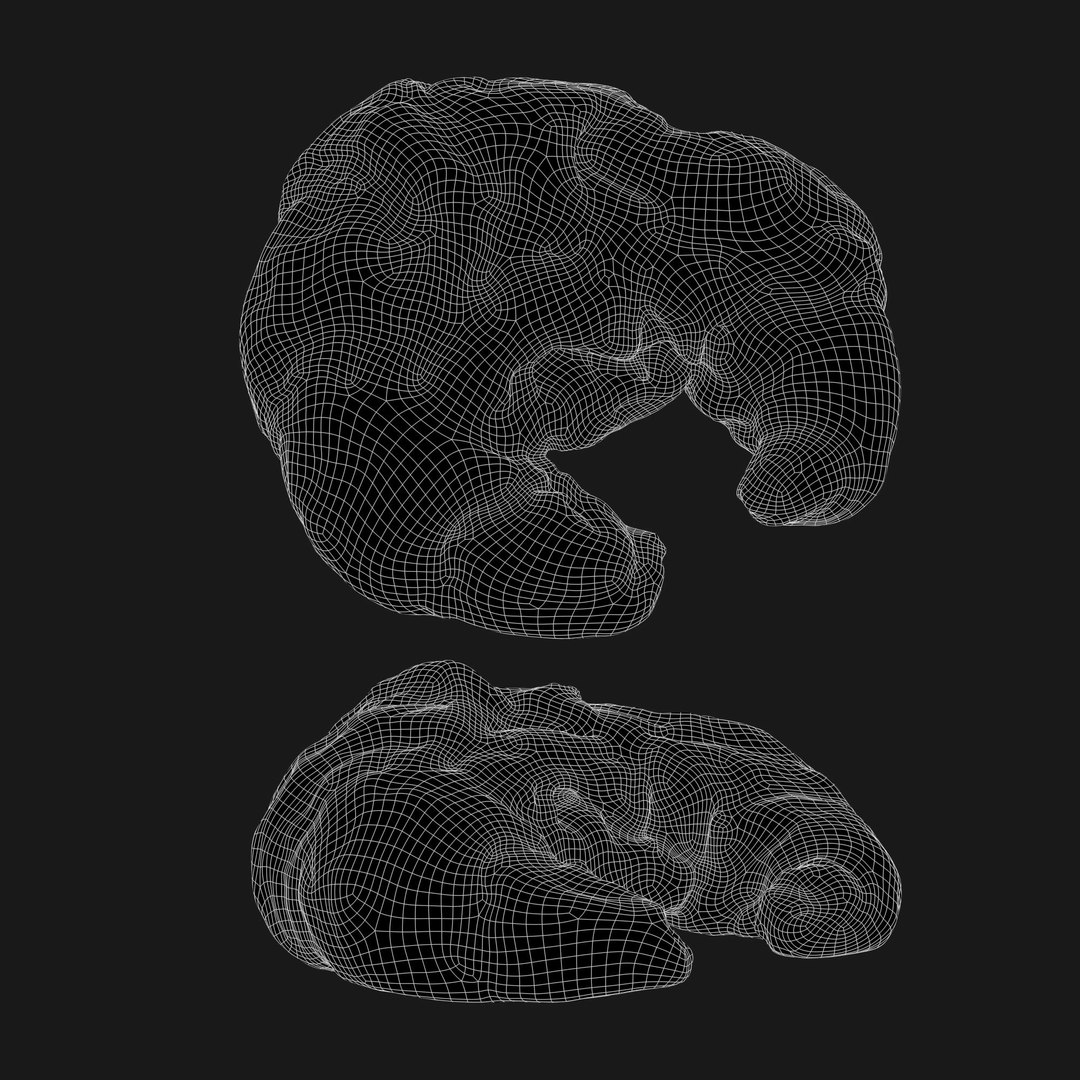 Croissant Photorealistic 3D - TurboSquid 1739270