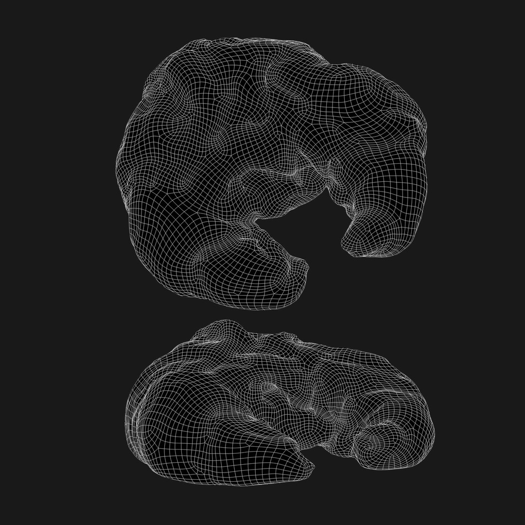Croissant Photorealistic 3D - TurboSquid 1739270