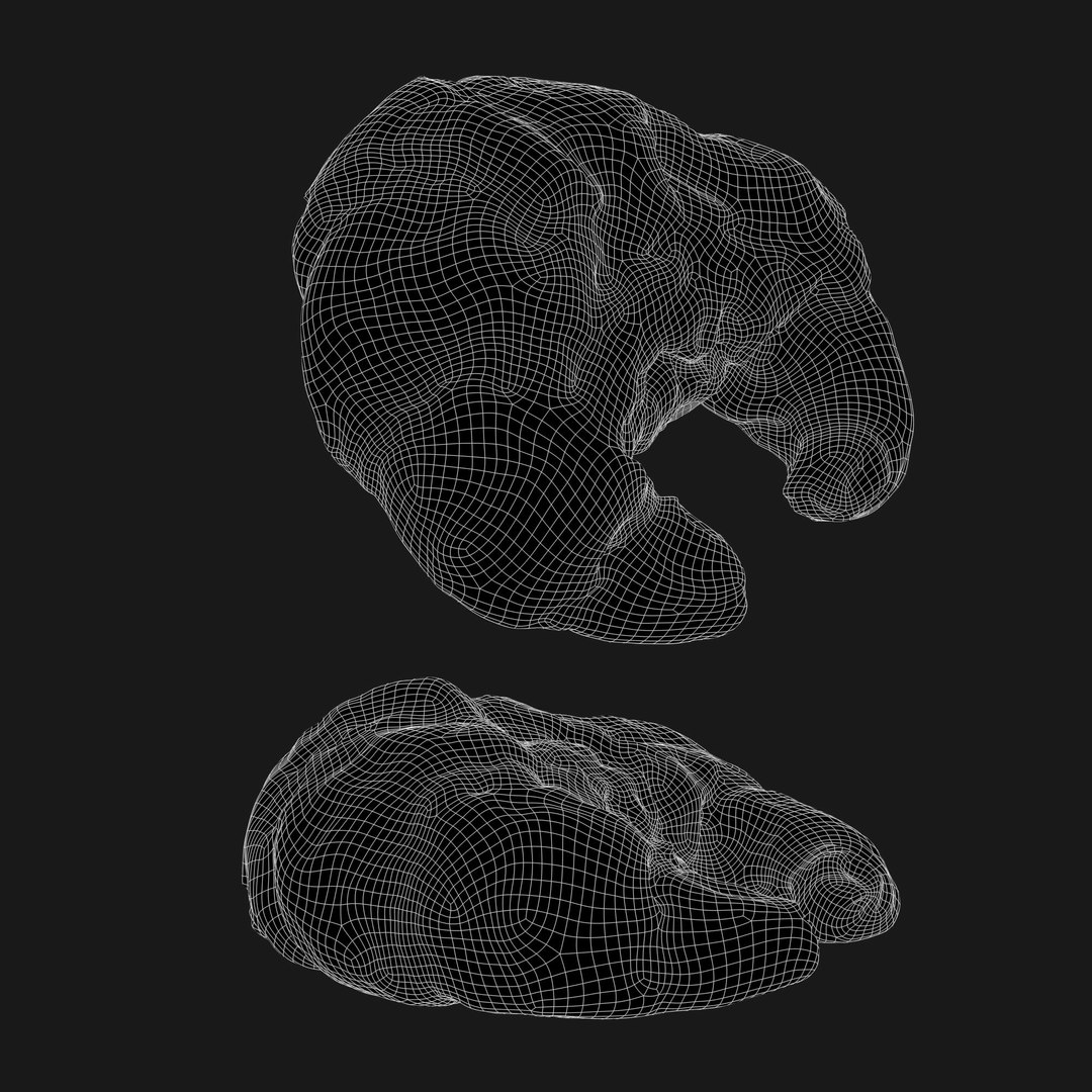 Croissant Photorealistic 3D - TurboSquid 1739270