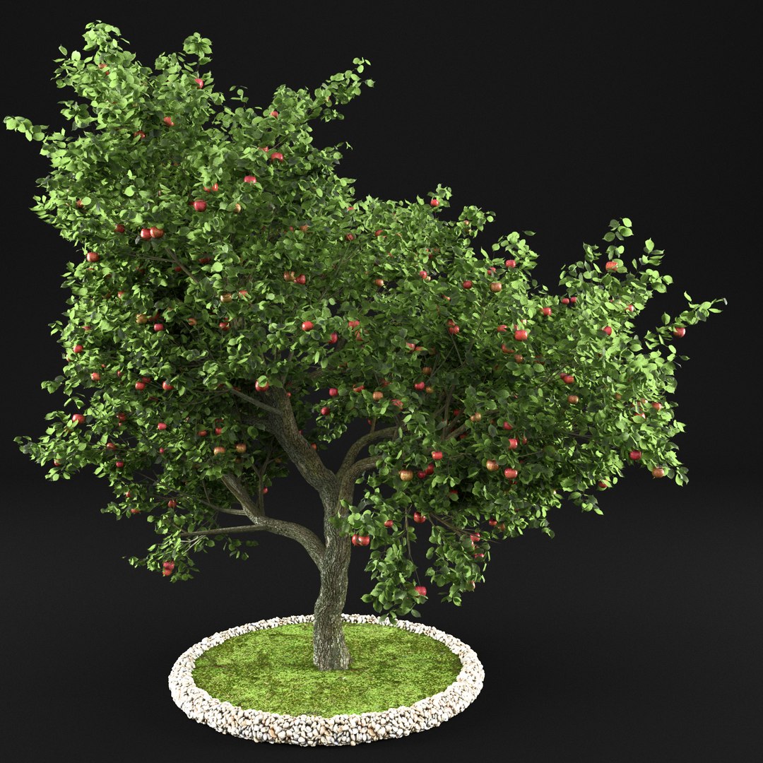3D Apple Tree - TurboSquid 1159245