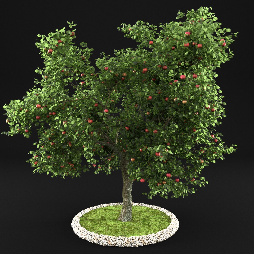 3D Apple Tree - TurboSquid 1159245